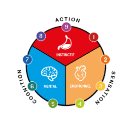 Ennéagramme et type de personnalité : les 9 ennéatypes