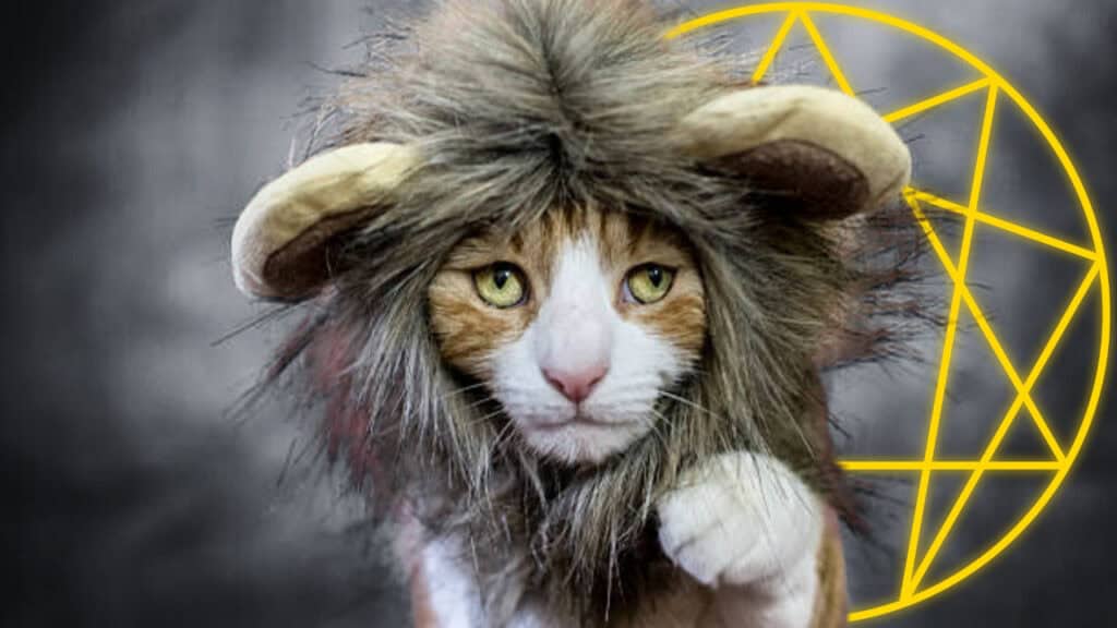 Lion de Némée : un mythe de connaissance de soi